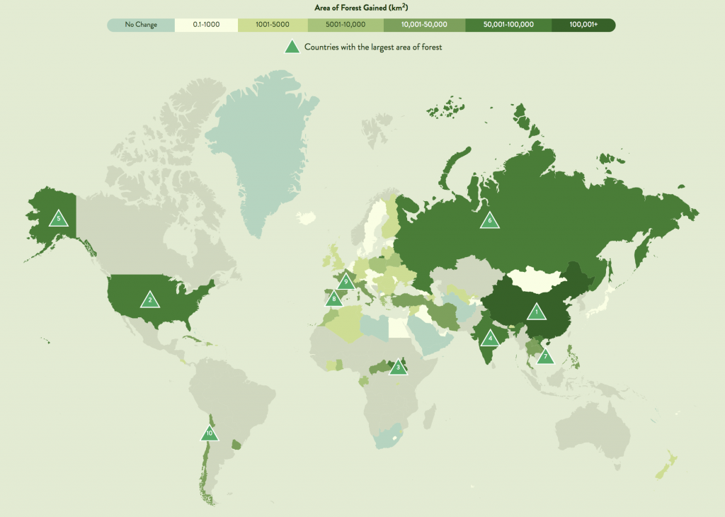 Forest lost vs. forest gained: Where is the world losing the most trees ...