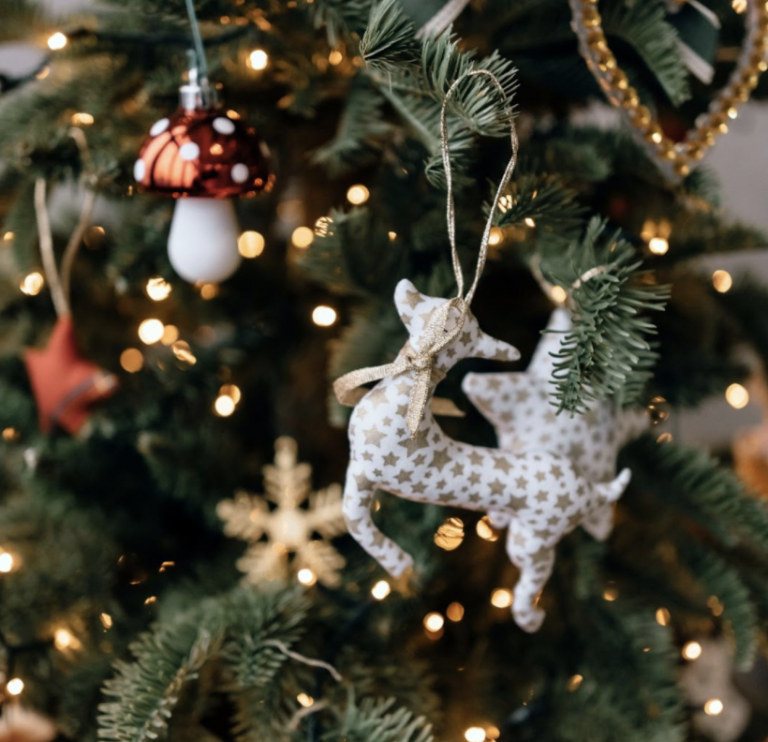 The Best Alternative Messages to Write in Christmas Cards | Eco2 ...